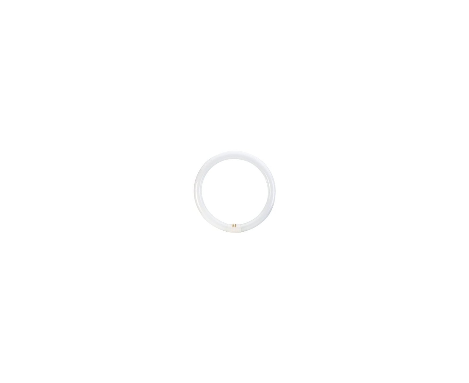 40w Circular Fluorescent T8 Tube - Circular & Linear Fluorescent